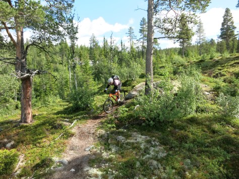 Ål, Norway – allmountaindinger's mountain bike meccas